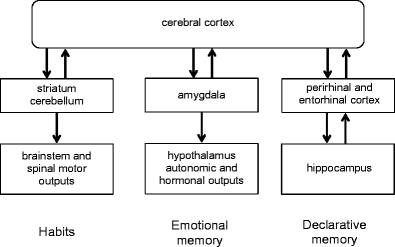 Still searching for the engram | SpringerLink