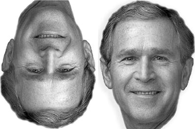 Explaining the face-inversion effect: the face–scheme incompatibility (FSI) model | SpringerLink