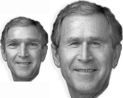 Explaining the face-inversion effect: the face–scheme incompatibility (FSI) model | SpringerLink