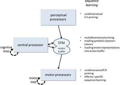 A cognitive framework for explaining serial processing and sequence ...