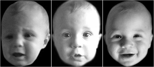 The City Infant Faces Database: A validated set of infant facial ...