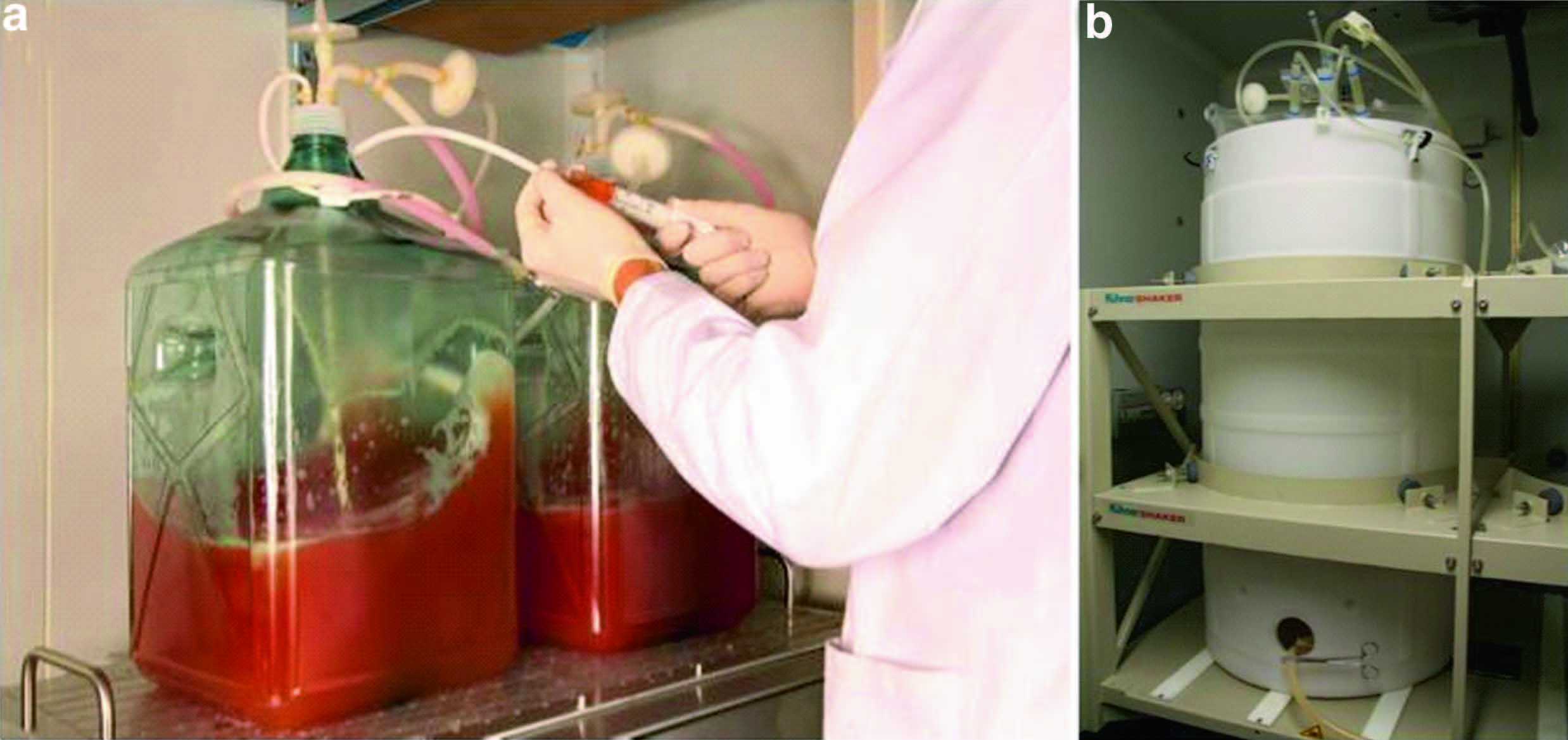 Use of Orbital Shaken Disposable Bioreactors for Mammalian Cell ...