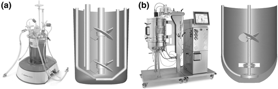 Dynamic Single-Use Bioreactors Used in Modern Liter- and m3- Scale ...