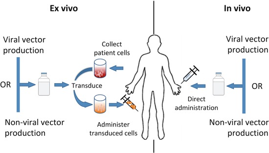 Gene Therapy | SpringerLink