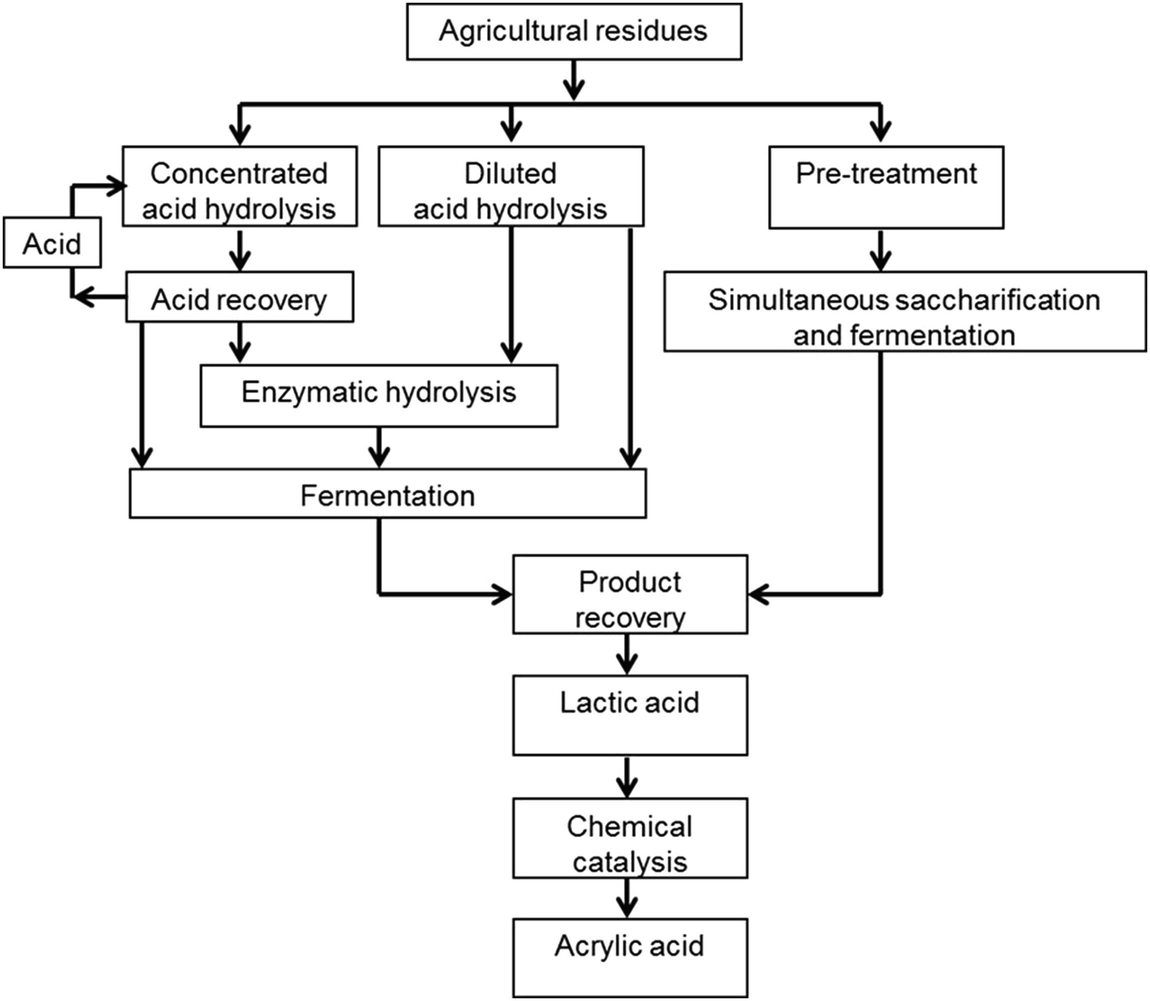 Biotechnological Production of Organic Acids from Renewable Resources ...