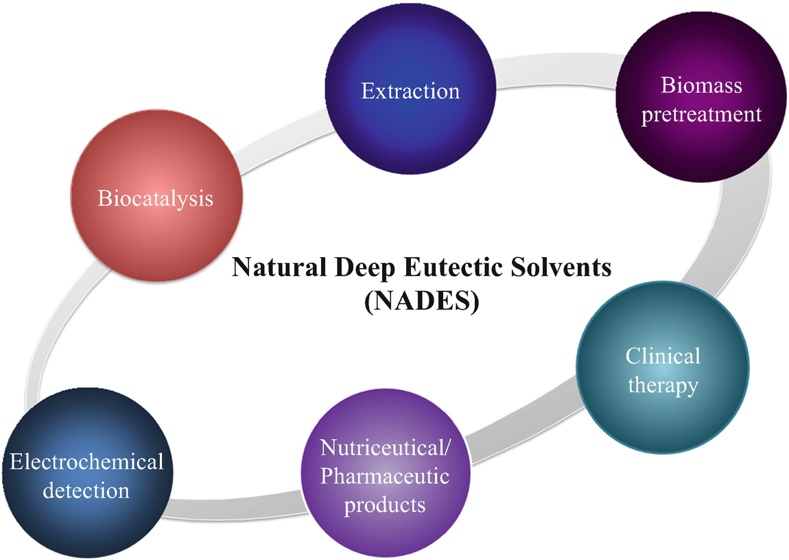 Natural Deep Eutectic Solvents and Their Applications in Biotechnology ...