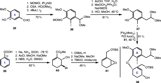 Synthesis of Morphine Alkaloids and Derivatives | SpringerLink