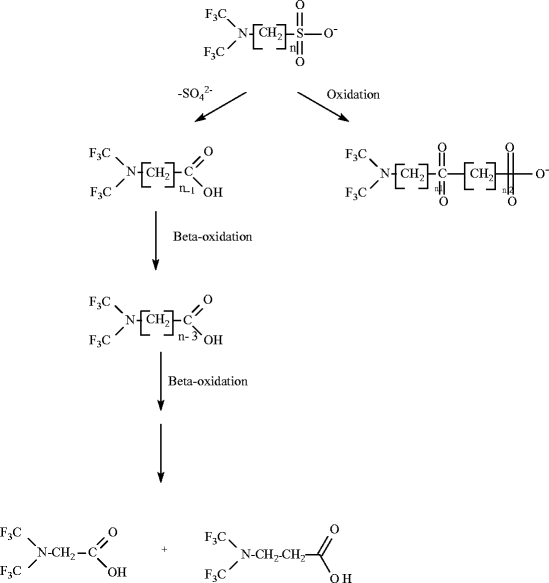 Biology of Fluoro-Organic Compounds | SpringerLink