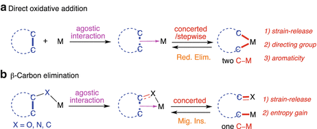 Transition Metal-Catalyzed C–C Bond Activation of Four-Membered Cyclic ...