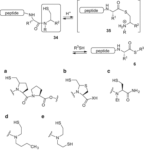 Peptide Thioester Formation via an Intramolecular N to S Acyl Shift for ...