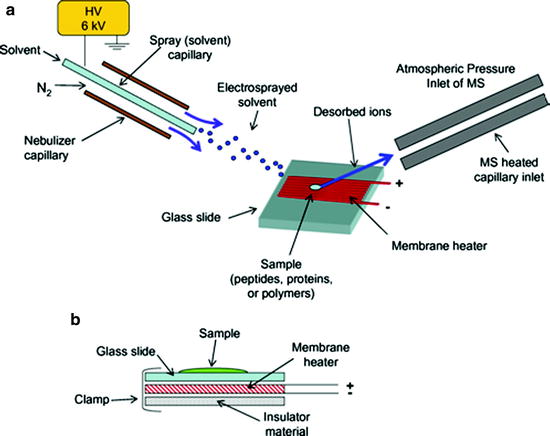 Direct Insertion Probe Mass Spectrometry of Polymers | SpringerLink