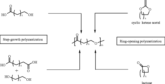 Recent Developments in Ring-Opening Polymerization of Lactones ...