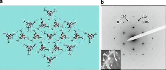 Crystal Polymorphism and Morphology of Polylactides | SpringerLink