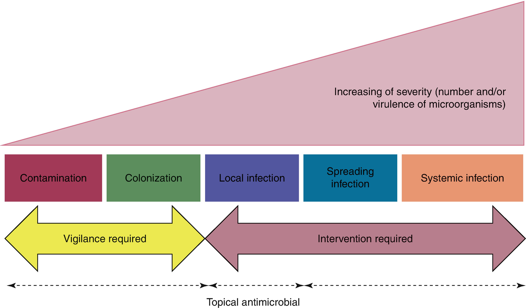 Traditional and Nontraditional Evaluation of Wound Healing Process ...