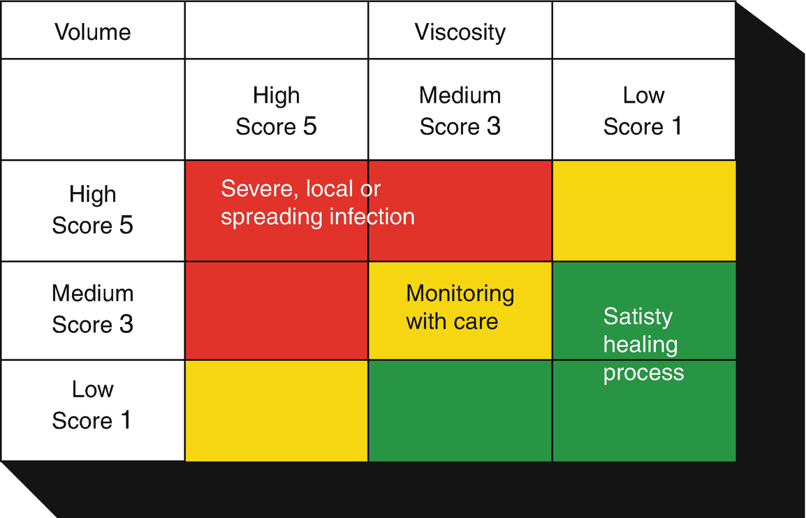 Traditional and Nontraditional Evaluation of Wound Healing Process ...