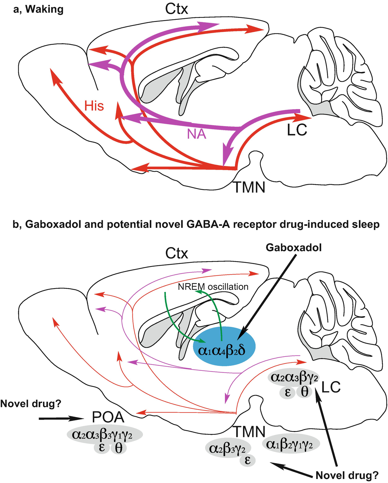 GABA Receptors and the Pharmacology of Sleep | SpringerLink