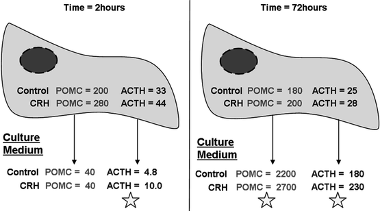 ACTH: Cellular Peptide Hormone Synthesis and Secretory Pathways ...