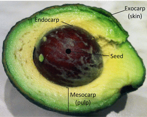 The Avocado and Its Waste: An Approach of Fuel Potential/Application ...