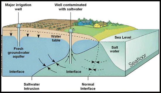 Investigation of Saltwater Intrusion in Coastal Aquifers | SpringerLink
