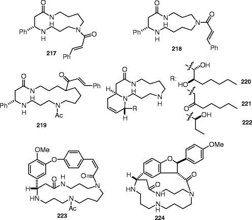 β-Lactam Ring Opening: A Useful Entry to Amino Acids and Relevant ...