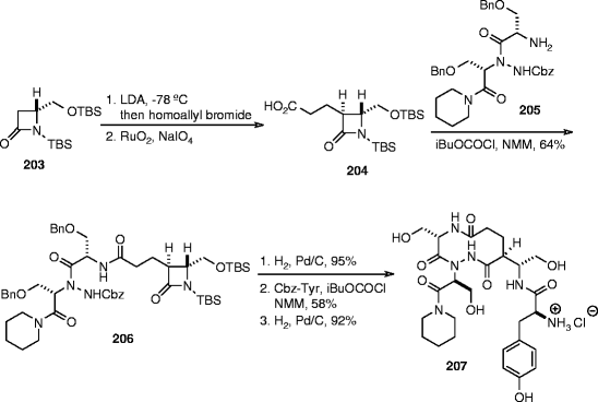 β-Lactam Ring Opening: A Useful Entry to Amino Acids and Relevant ...