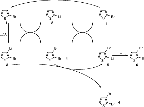 Recent Progress on the Halogen Dance Reaction on Heterocycles ...