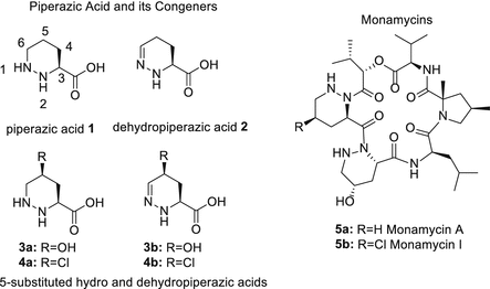 Structure and Synthesis of Conformationally Constrained Molecules ...