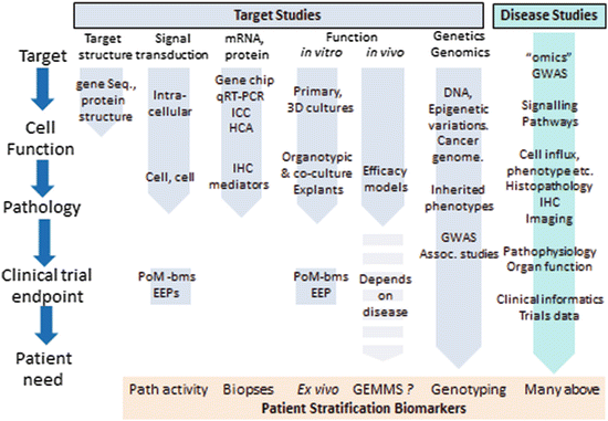 Target Selection and Validation in Drug Discovery | SpringerLink