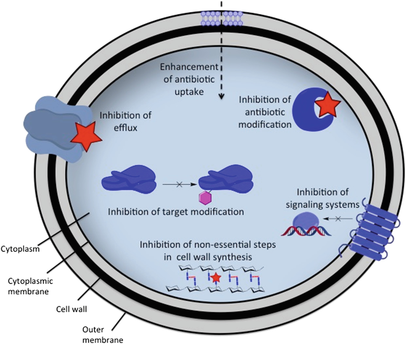 Antibiotic Adjuvants | SpringerLink