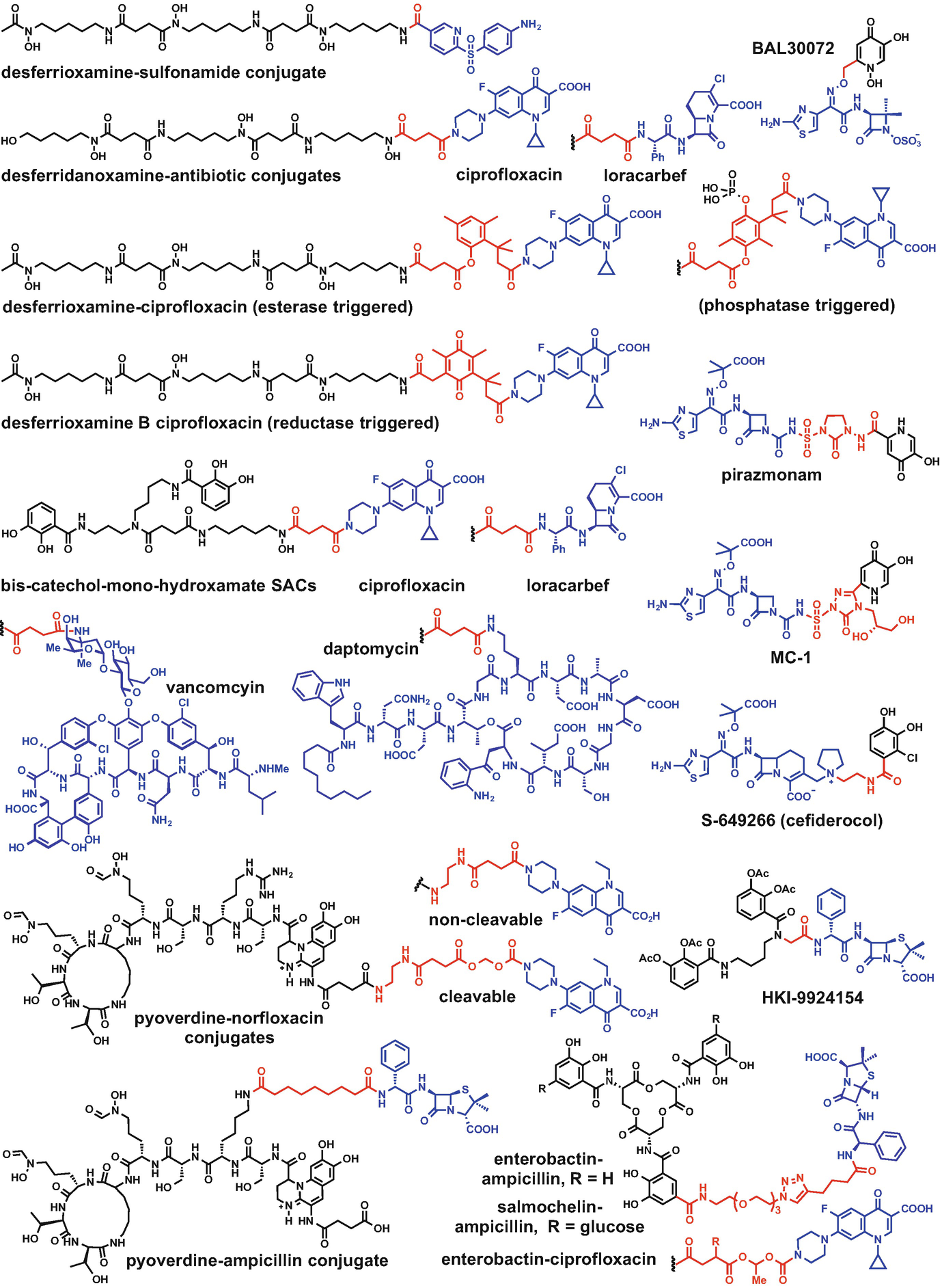 Sideromycins as Pathogen-Targeted Antibiotics | SpringerLink