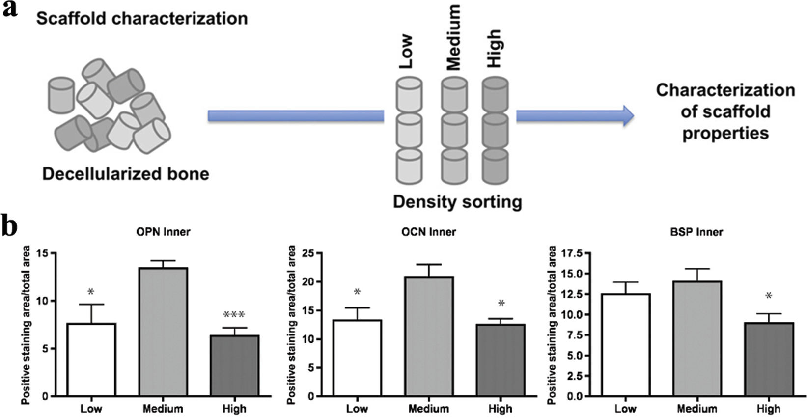 Decellularized Bone Matrix Scaffold for Bone Regeneration | SpringerLink