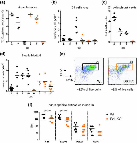 BTK Signaling in B Cell Differentiation and Autoimmunity | SpringerLink