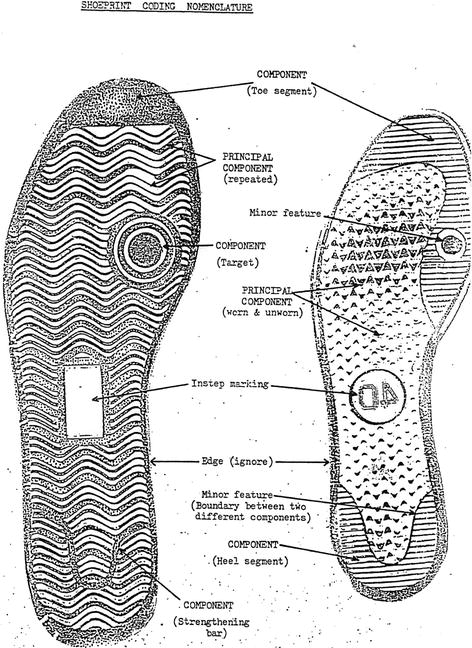 Shoemark Recognition for Forensic Science: An Emerging Technology ...