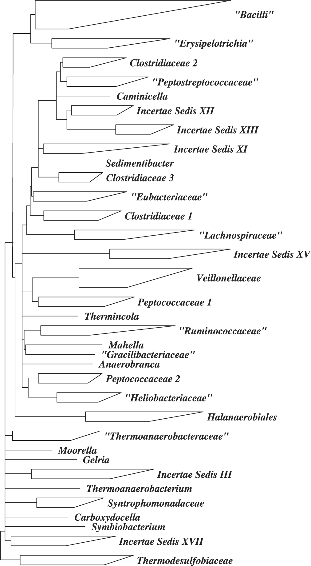 Revised road map to the phylum Firmicutes | SpringerLink