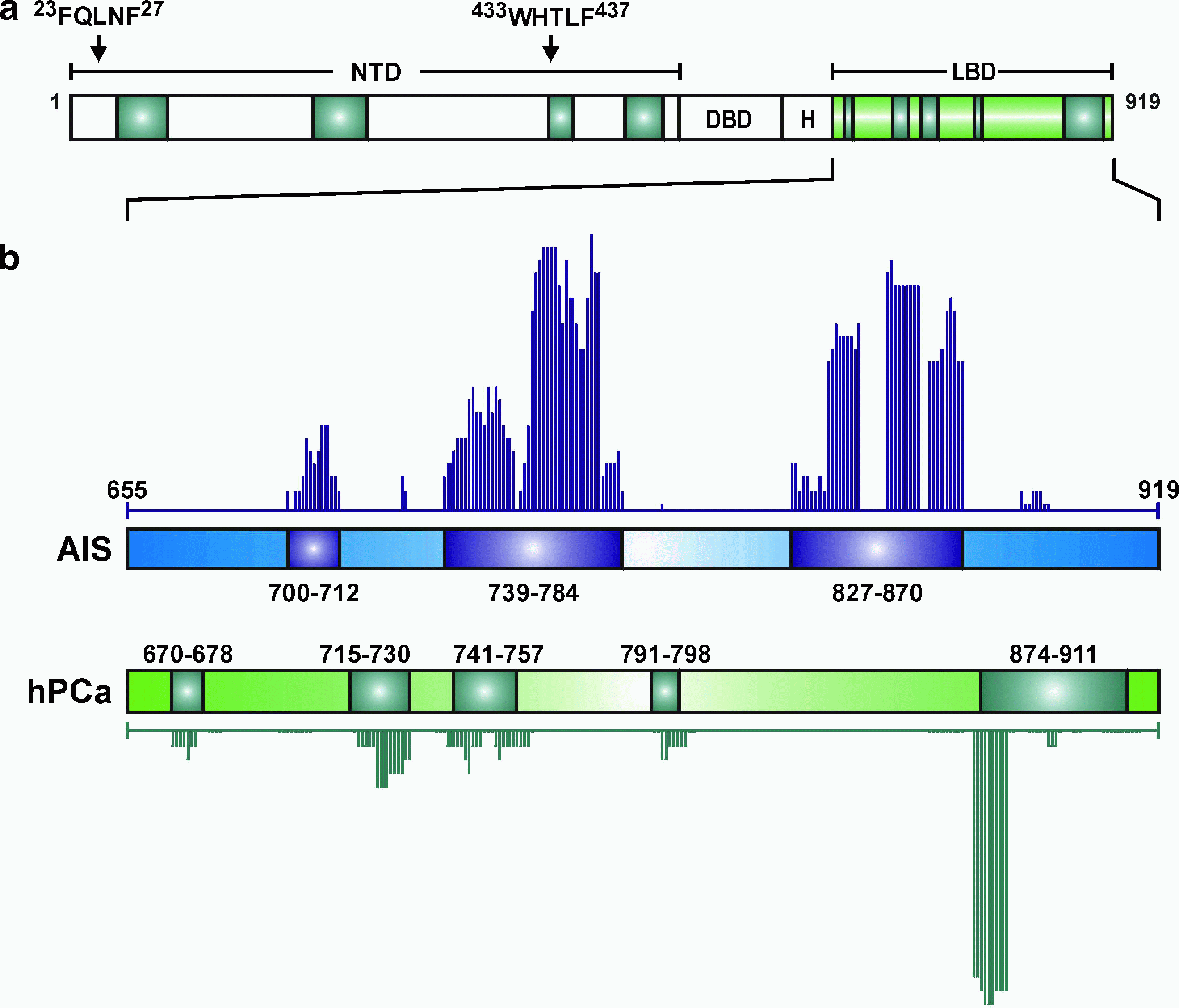 Insights from AR Gene Mutations | SpringerLink