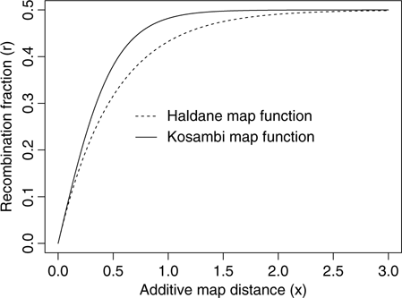 Map Functions | SpringerLink