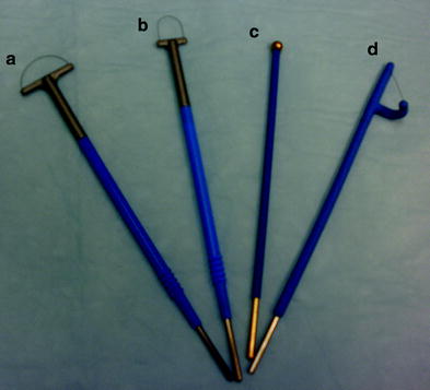 LEEP: Loop Electrosurgical Excision Procedure | SpringerLink