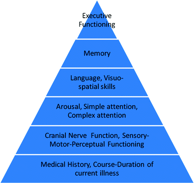 Components of the Neuropsychological Evaluation | SpringerLink