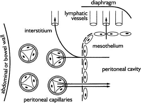 The Physiology of Peritoneal Solute, Water, and Lymphatic Transport ...