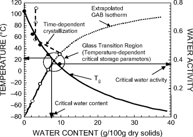 Solid and Liquid States of Lactose | SpringerLink