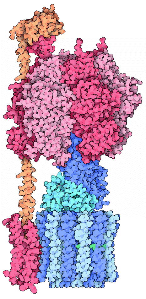 Molecular Machines | SpringerLink