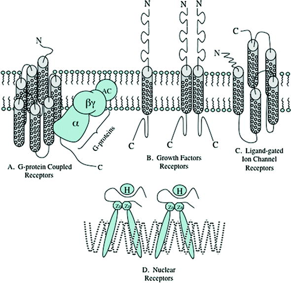 Extracellular Signaling Receptors | SpringerLink