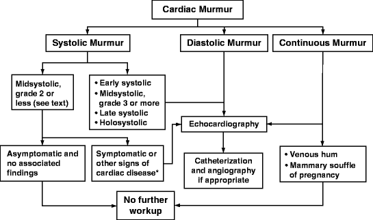 Heart Murmurs | SpringerLink