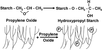 Structure and Function of Starch-Based Edible Films and Coatings ...