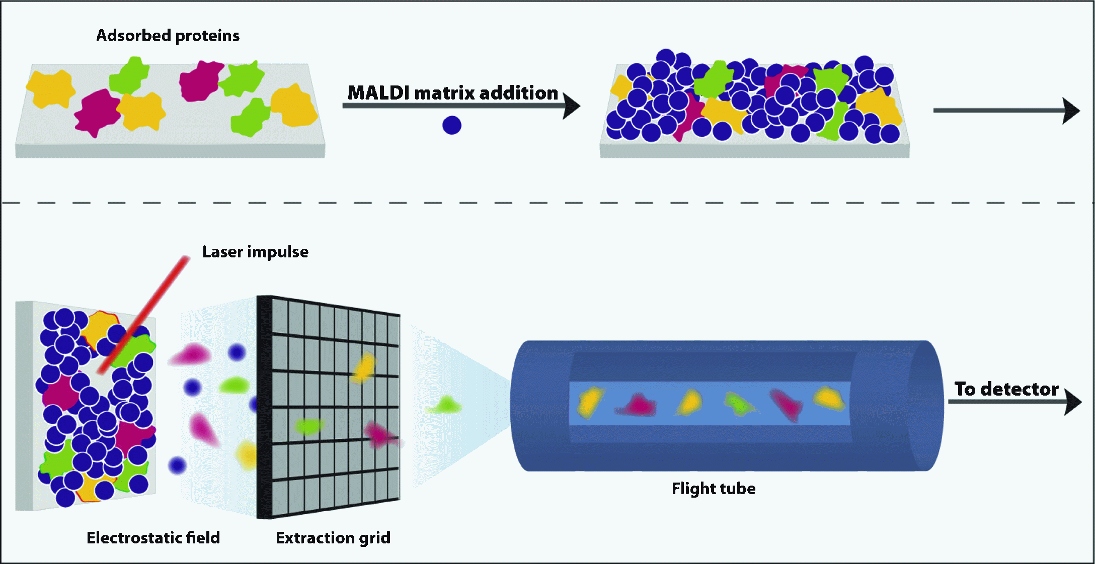 Protein Adsorption to Biomaterials | SpringerLink