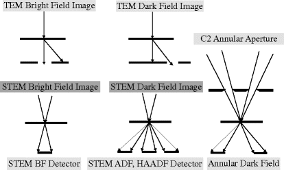 The Different Observation Modes in Electron Microscopy (SEM, TEM, STEM ...