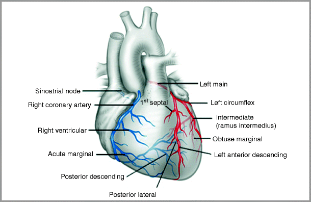 Regional Circulations | SpringerLink