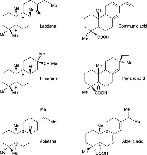 Amber | SpringerLink