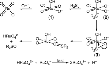 The Chemistry of Ruthenium Oxidation Complexes | SpringerLink