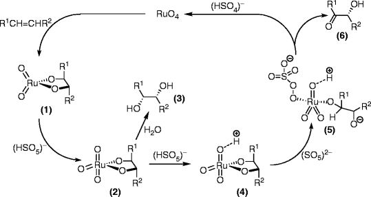 The Chemistry of Ruthenium Oxidation Complexes | SpringerLink
